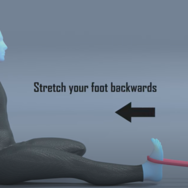 Build a programme - The Physiobot